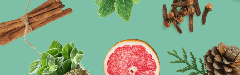 How To Add Flavor to Your Cannabis Plant Before, During, And After ...